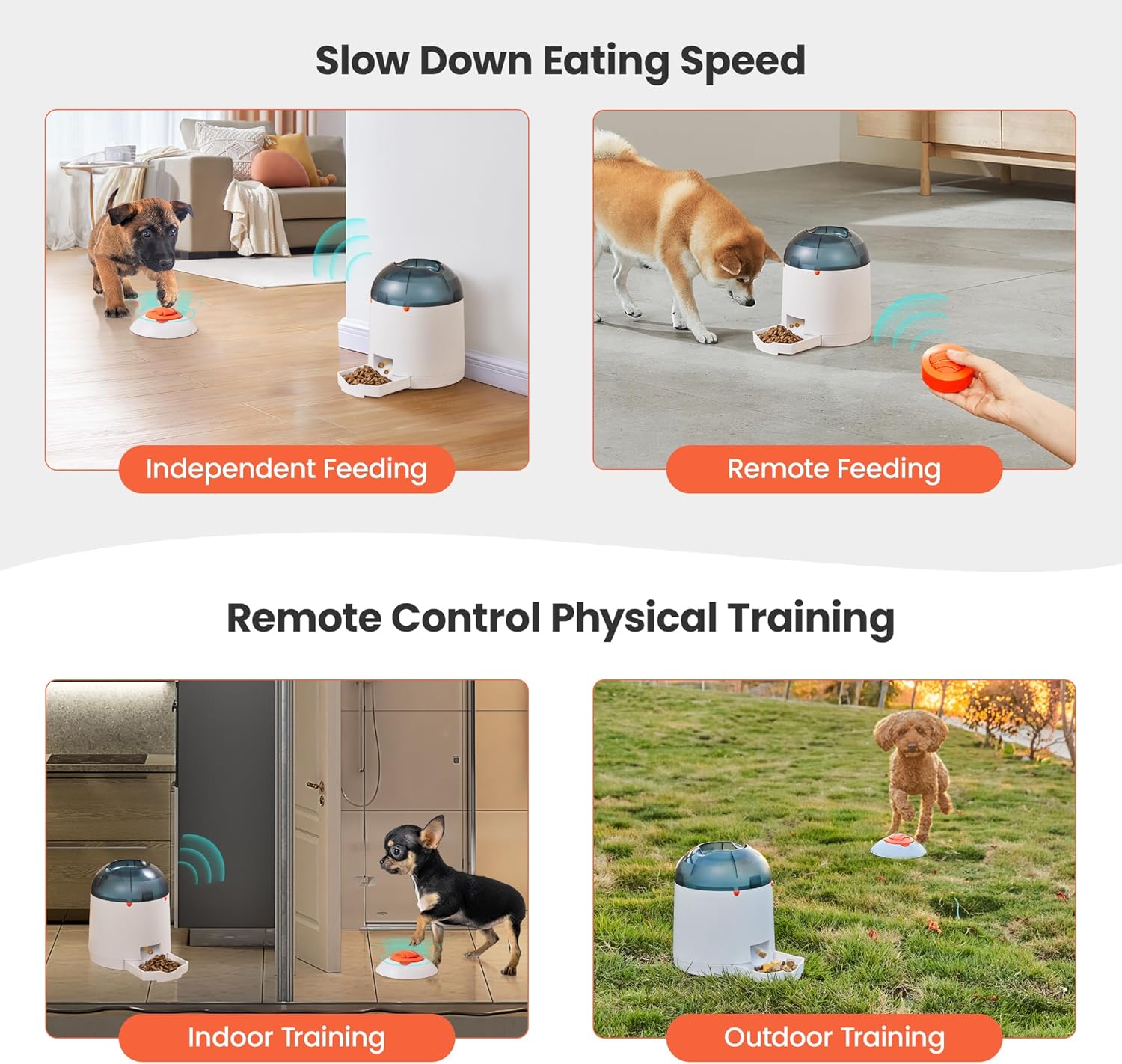 The 12 Ultimate Pet Tech Gadgets for Happy, Healthy Pets